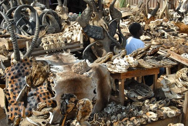 Benin Tours & Travel Packages | Small Group Cultural Holidays