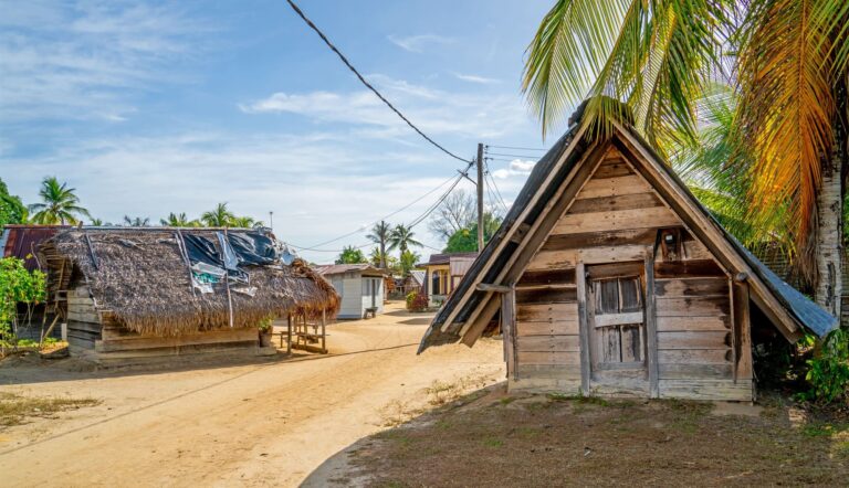 Suriname Tours & Holidays | Rainforest Adventure Travel Trips