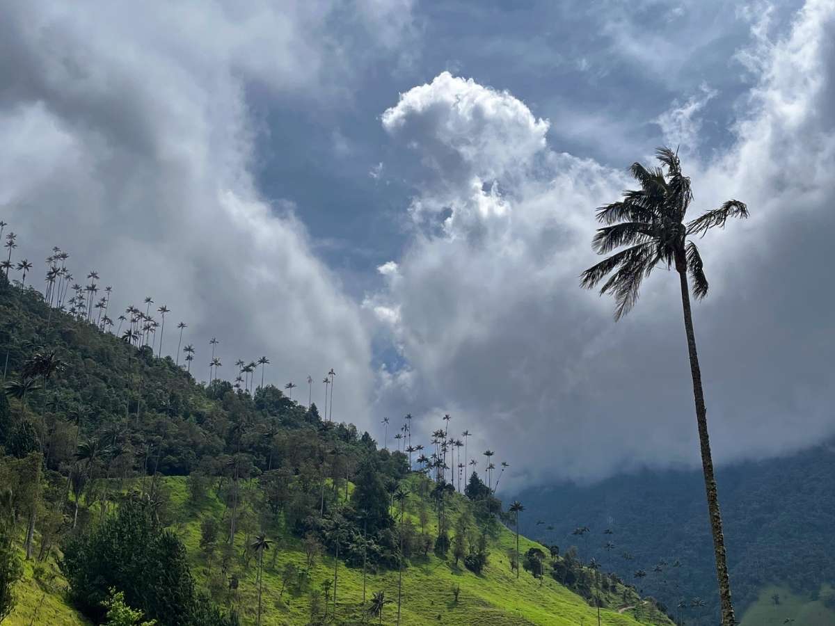 Best Places to Visit in Colombia: Hidden Gems & Top Spots